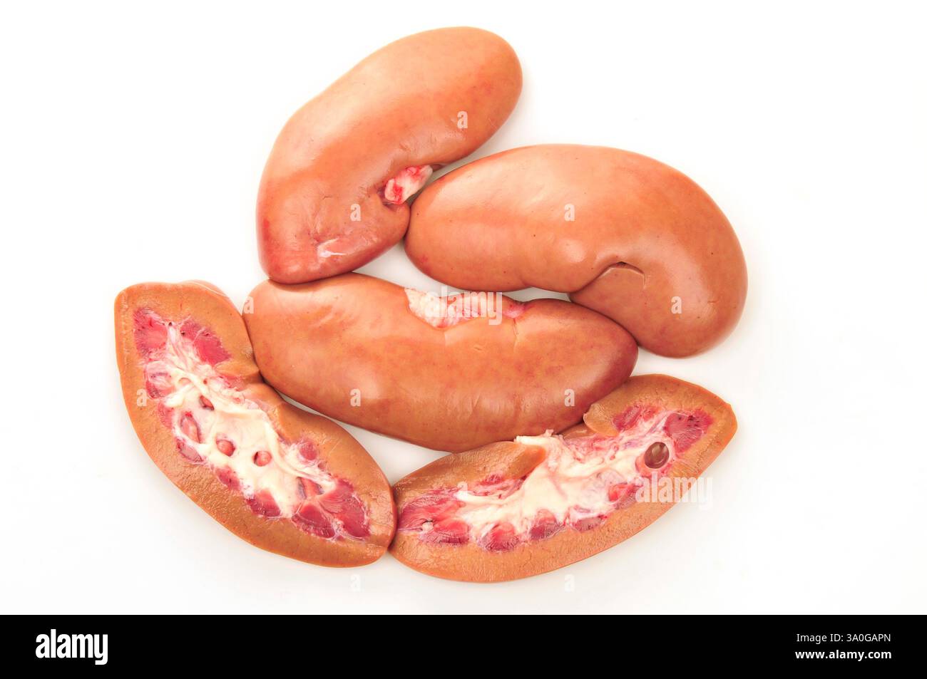 Pig anatomy kidney hi-res stock photography and images - Alamy