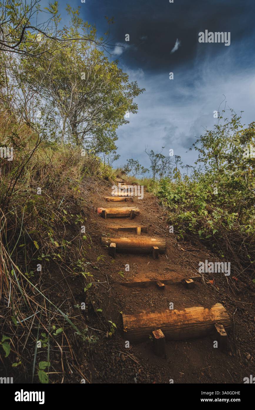 Path with wooden stairs surrounded by nature. Low angle of beautiful ...
