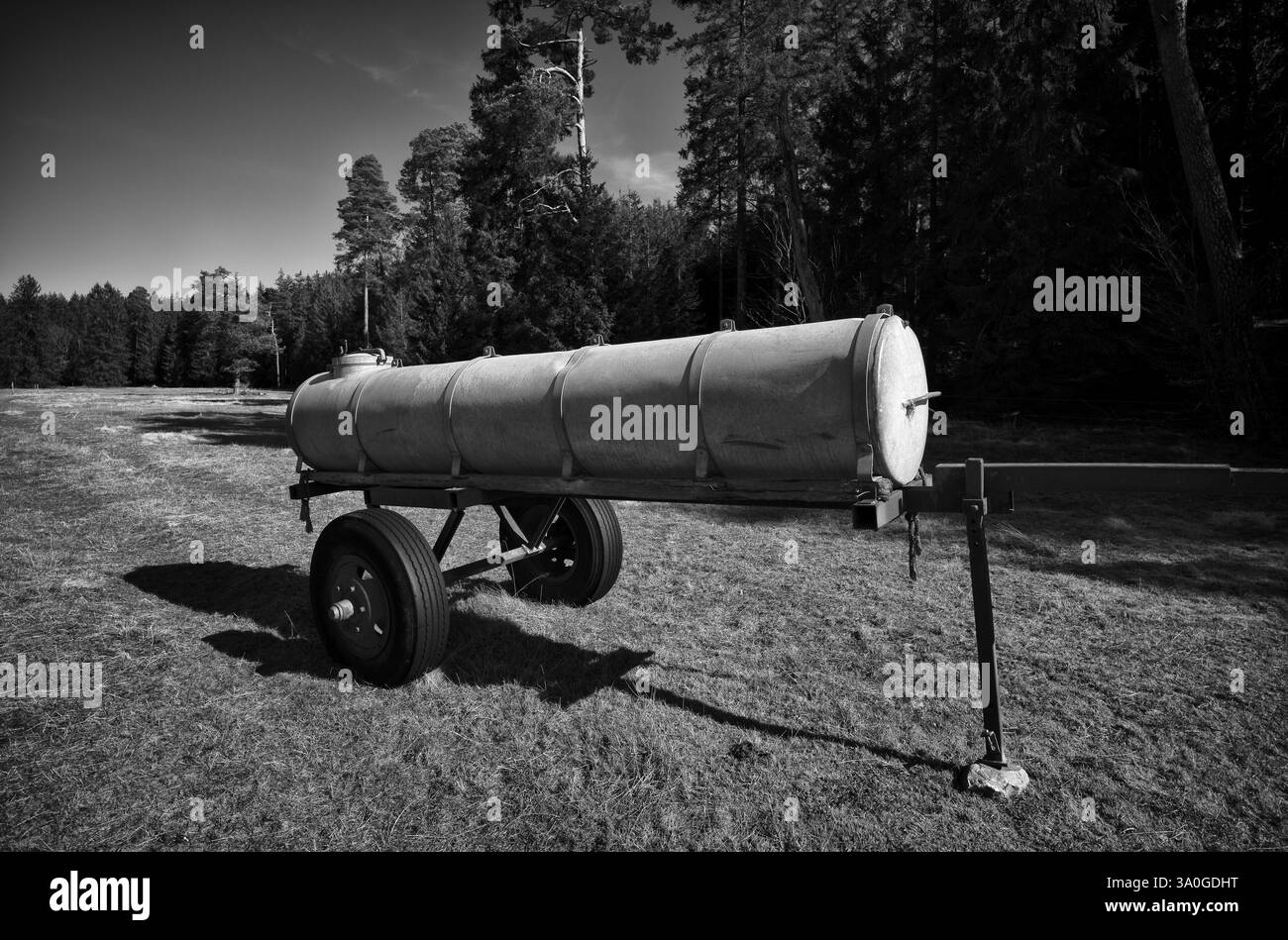 Water trough, water wagon, water tank, for cattle, black and white ...
