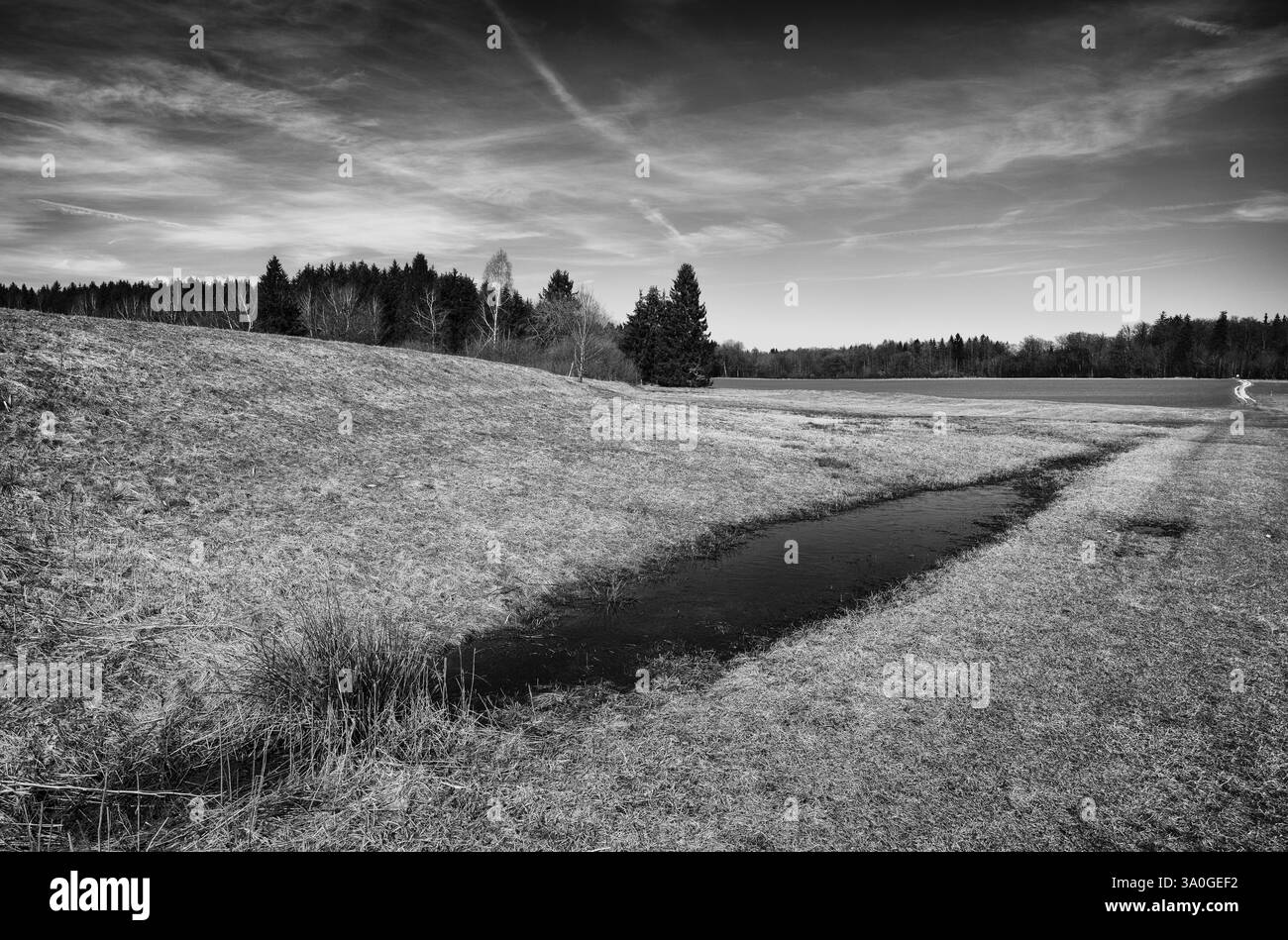 Water basin, wetland, black and white, Weiherwiesen nature reserve ...