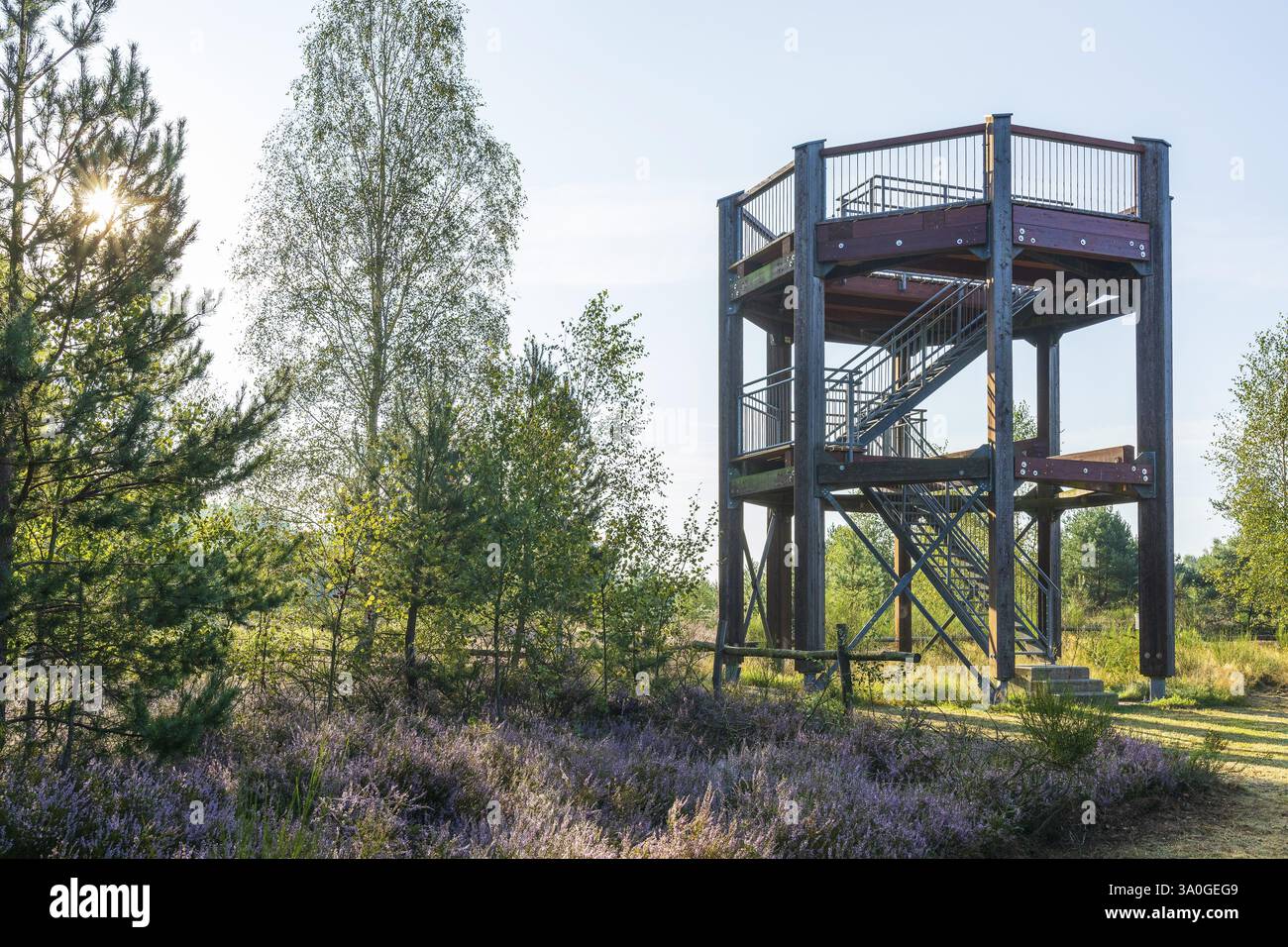 Naturschutzgebiet koenigsbruecker heide hi-res stock photography and ...