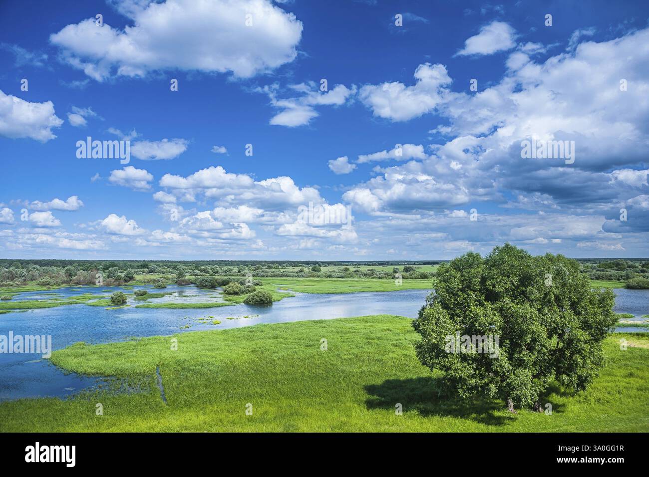 Beautiful summer landscapes on banks hi-res stock photography and ...