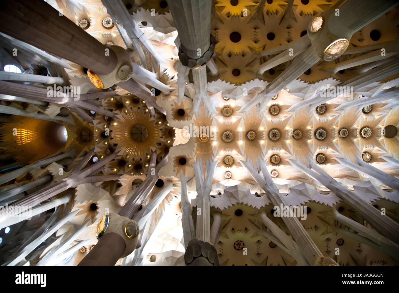 Barcelona,Catalonia,Spain,Architecture,Buildings,Gaudi Buildings,Street ...