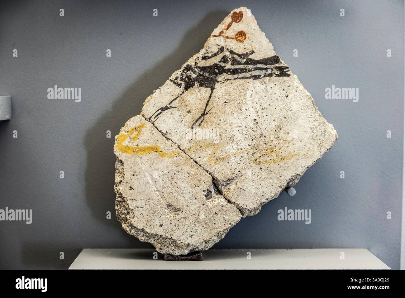 Painted Roman stucco, Museum-Interpretation Center of the Segóbriga ...