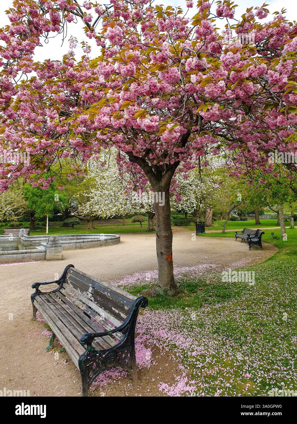 Arboretum park nottingham hi-res stock photography and images - Alamy