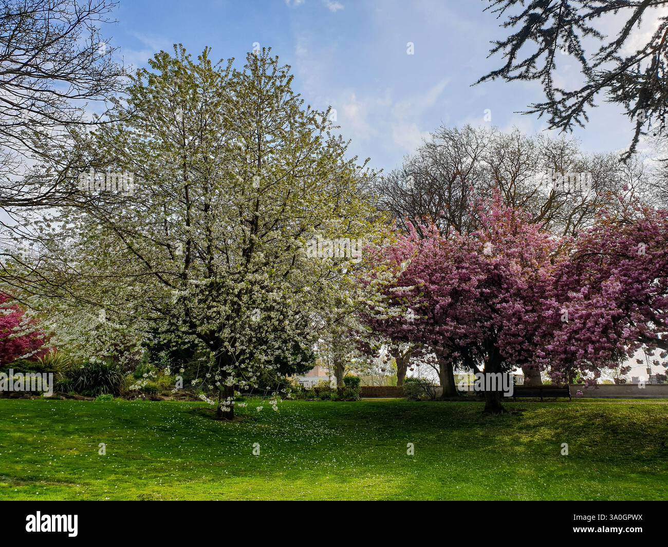 Springtime at the Memorial Gardens in Nottingham, UK Stock Photo - Alamy