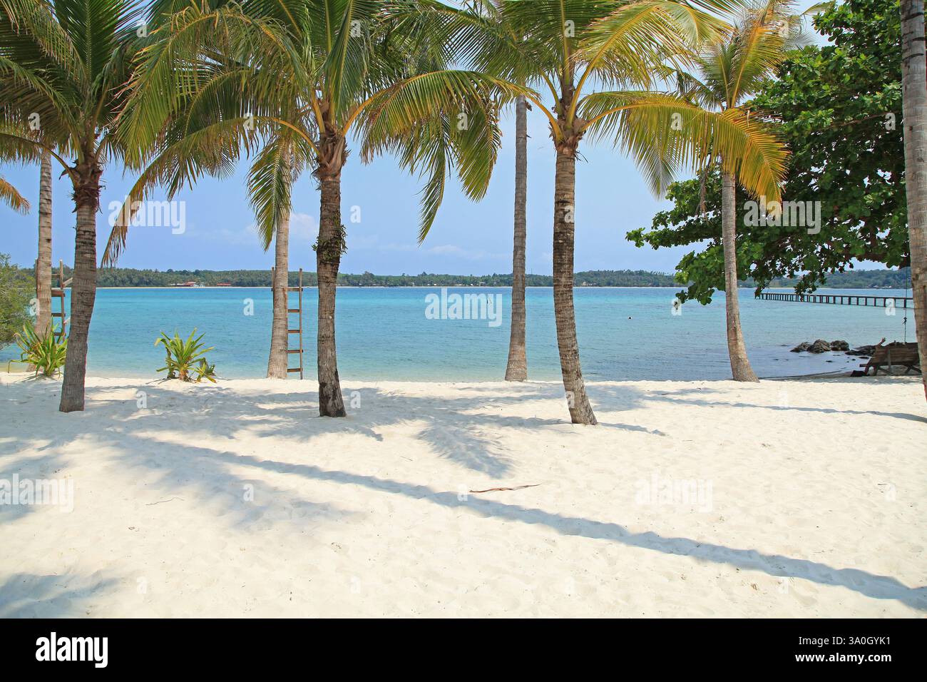 coconut tree wood bridge white sand each blue sky in summer at koh kham ...