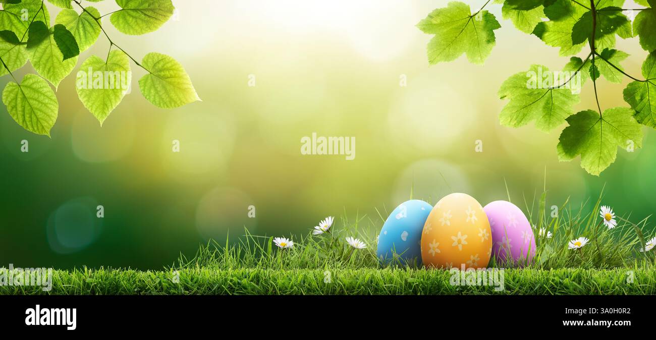 Seven painted easter eggs celebrating a Happy Easter on a spring day ...