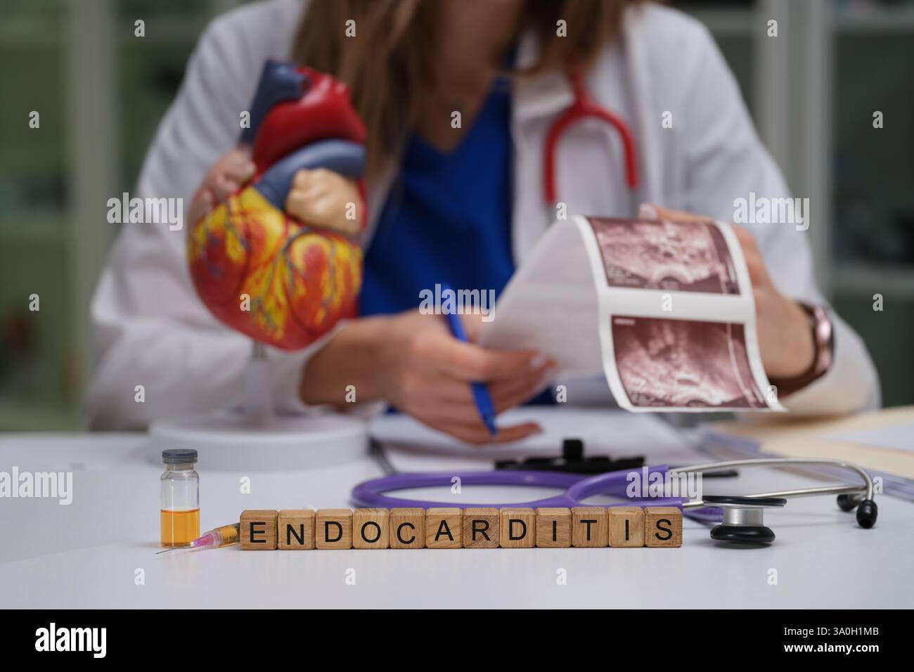 Thorough Medical Examination of Endocarditis Utilizing a Detailed Heart ...