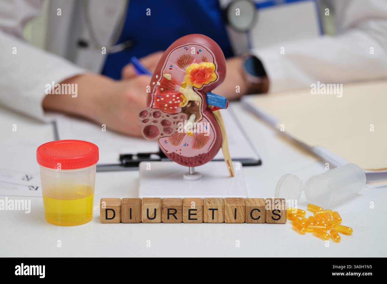 An InDepth Understanding of Diuretics and Their Impact on Kidney ...