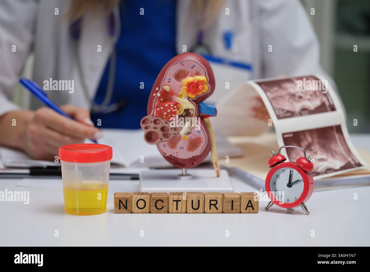 A Comprehensive Understanding of Nocturia Kidney Health Alongside ...