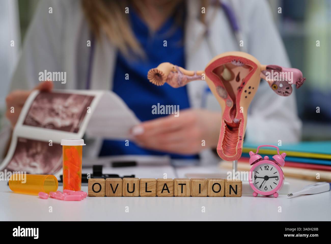 A Comprehensive Guide to Understanding Ovulation, Its Importance, and ...
