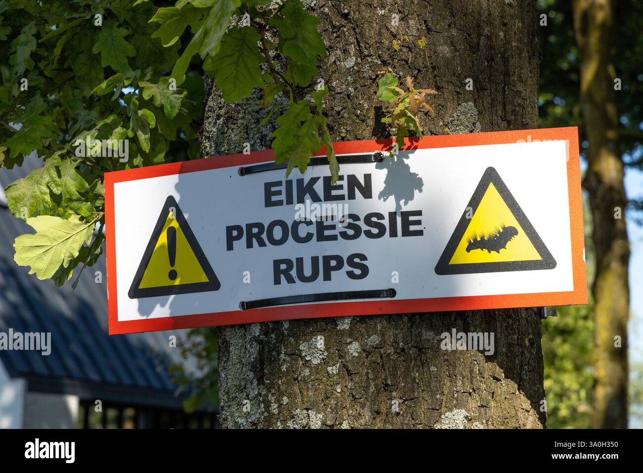 Eikenprocessierups sign. Oak processionary caterpillar warning sign ...