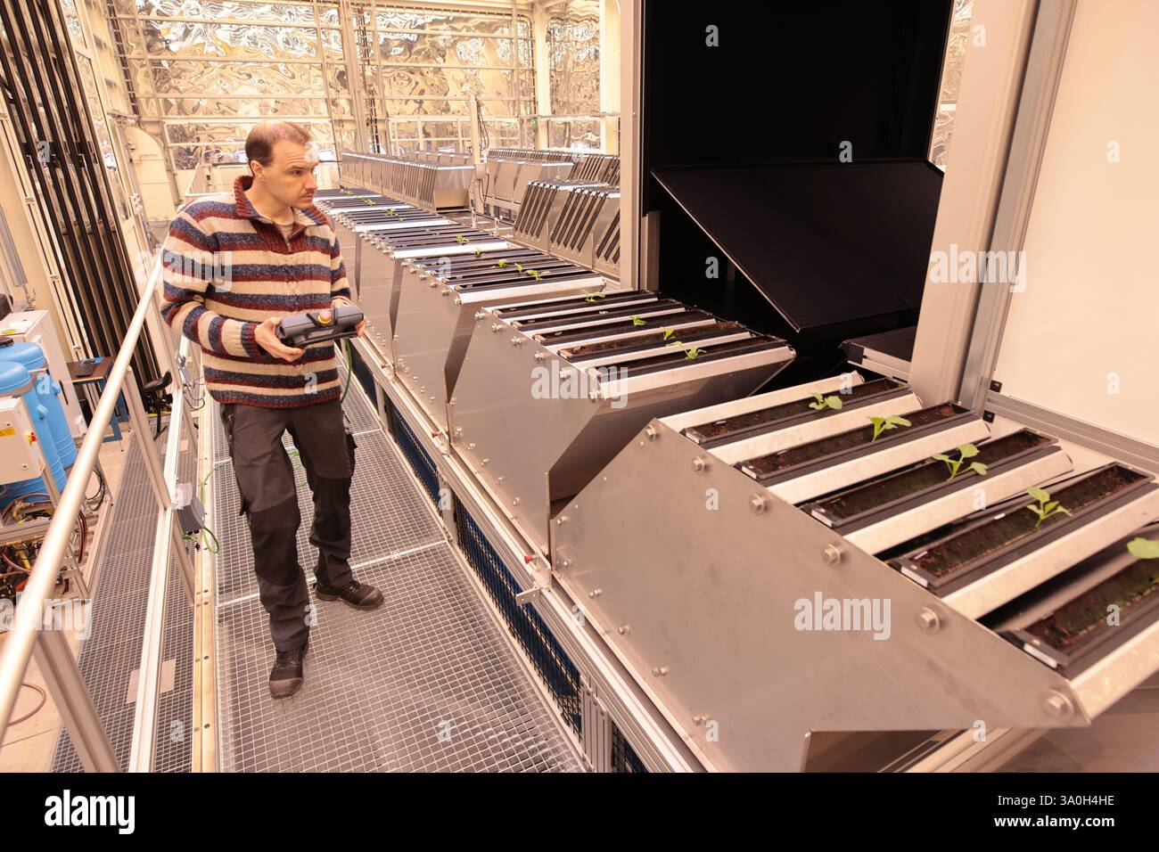 04 March 2025, Saxony-Anhalt, Gatersleben: Konstantin Kurenkov ...