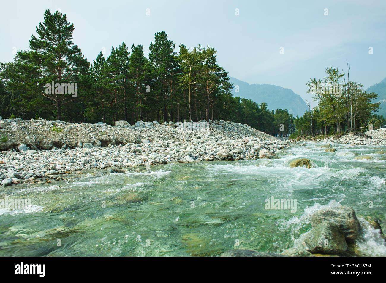 A clear, fast-flowing mountain stream runs over rocks, bordered by a ...