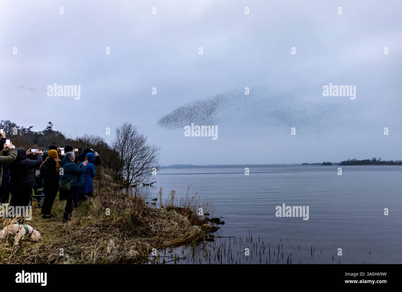 Westmeath aerial hi-res stock photography and images - Alamy