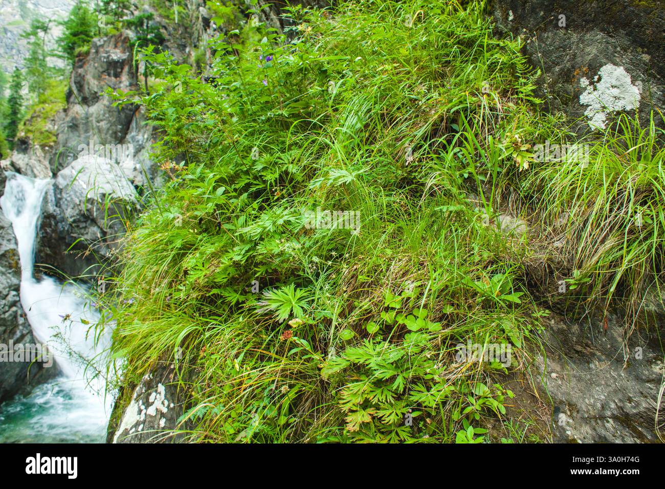 This image captures a small but vibrant waterfall cascading between ...
