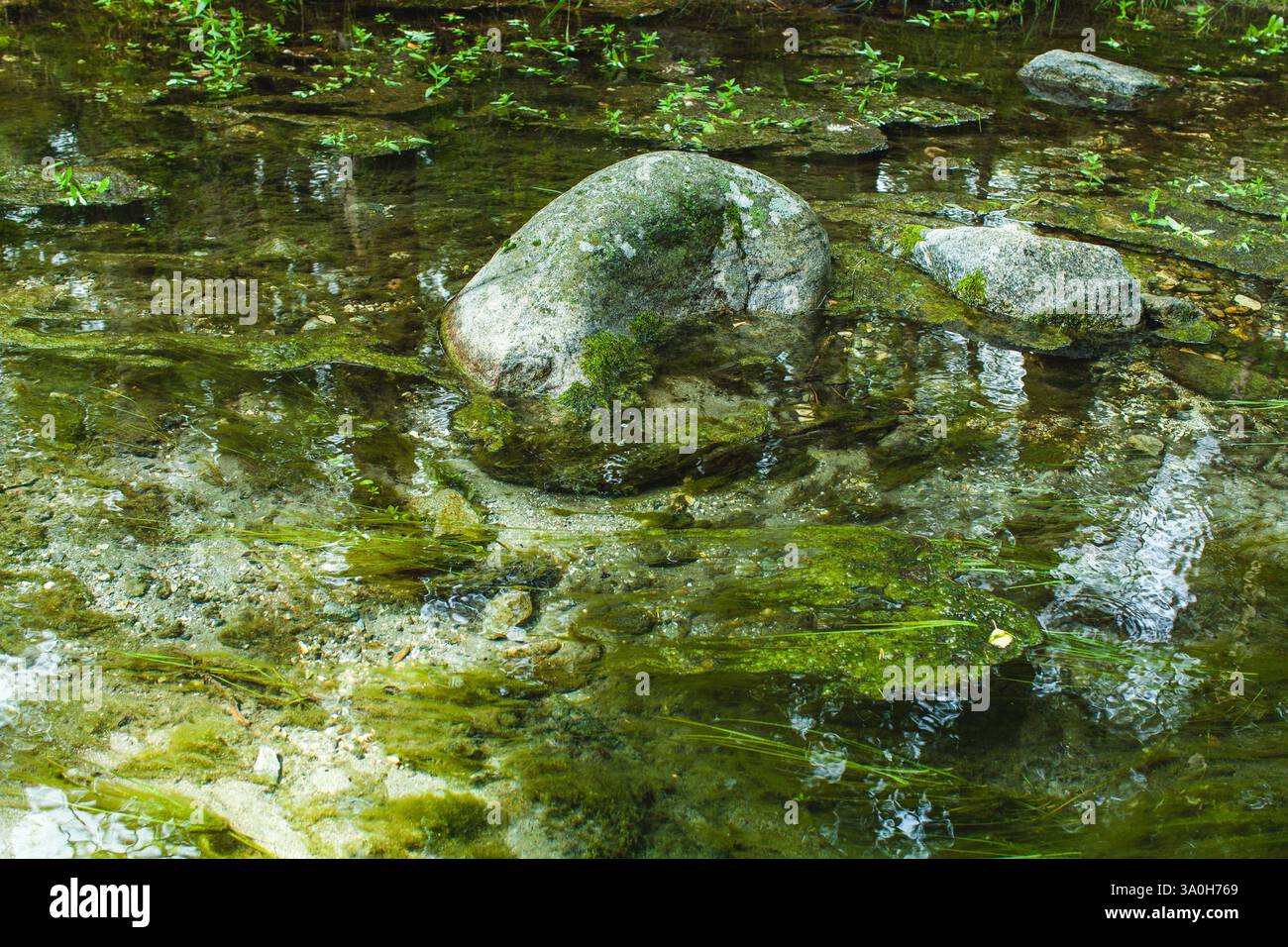 Shallow stream flows gently hi-res stock photography and images - Alamy