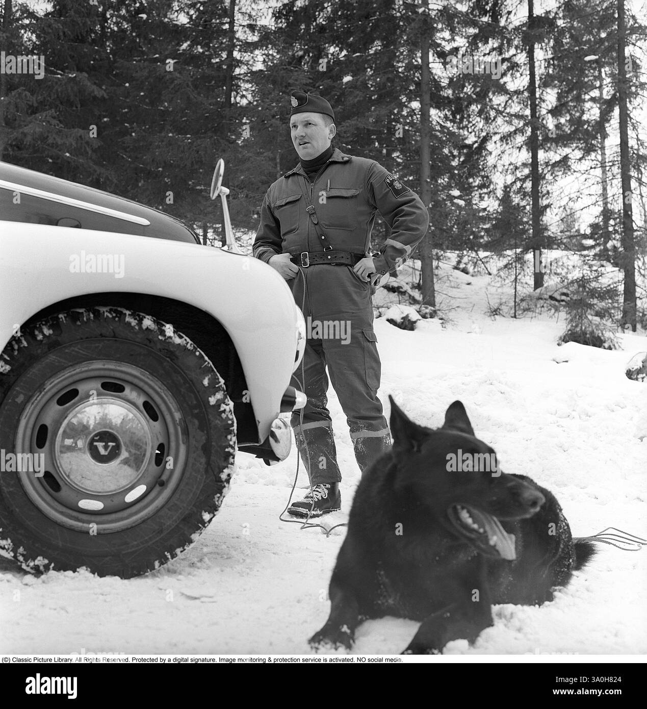 Policemen with search dog 1969. A policeman with a dog used to search ...