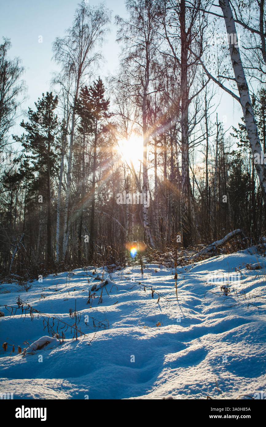 Bright light casting lens flare hi-res stock photography and images - Alamy