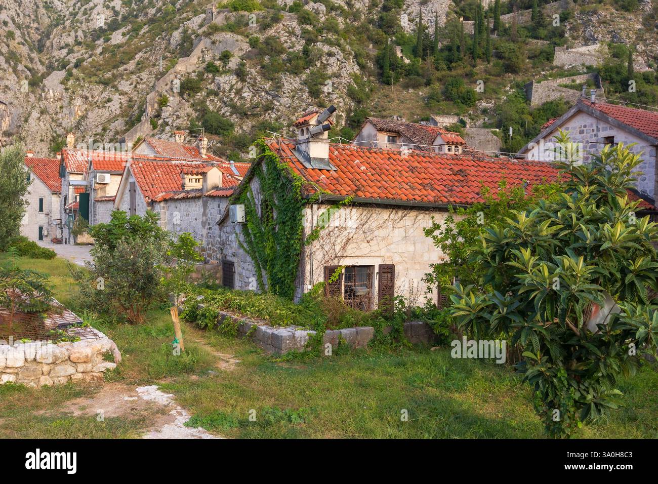 Kotor, Montenegro ancient stone houses of old town Stock Photo - Alamy