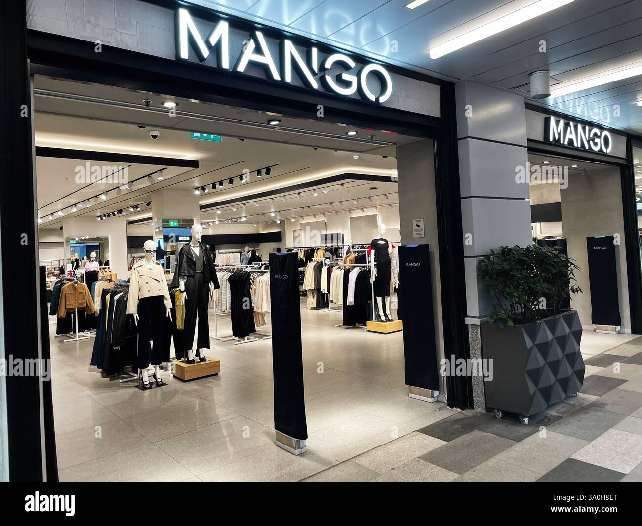 London, UK - March 02, 2025: Retail Mango clothing store showcasing ...