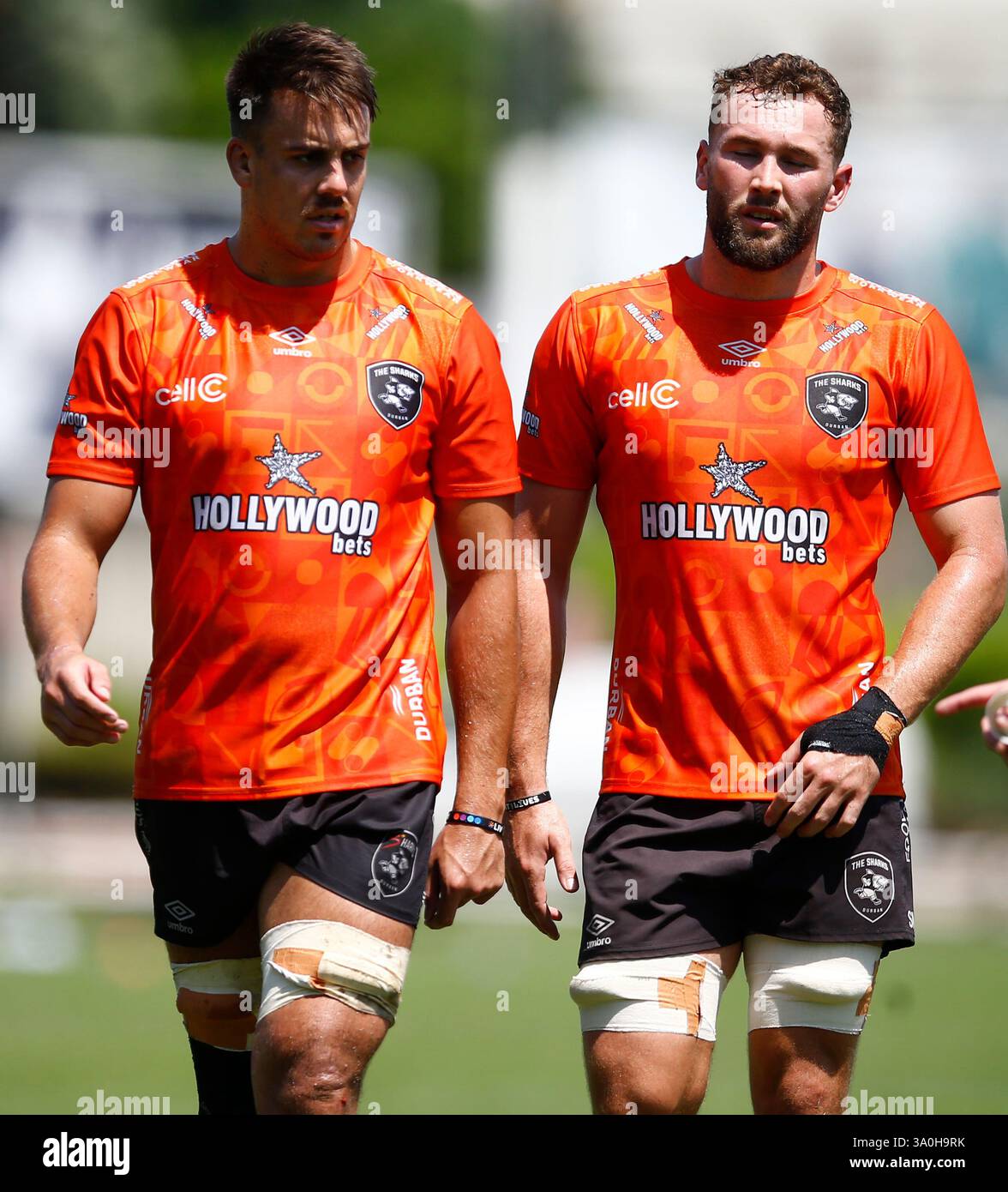 Jeandre Labuschagne of the Hollywoodbets Sharks with Nick Hatton of the Hollywoodbets Sharks ...