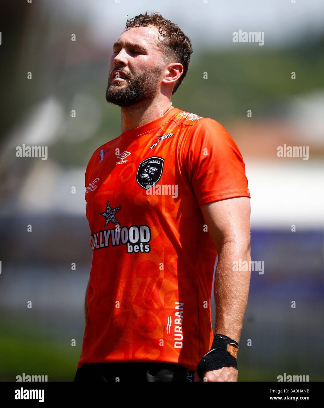 Nick Hatton of the Hollywoodbets Sharks during the Hollywoodbets Sharks ...