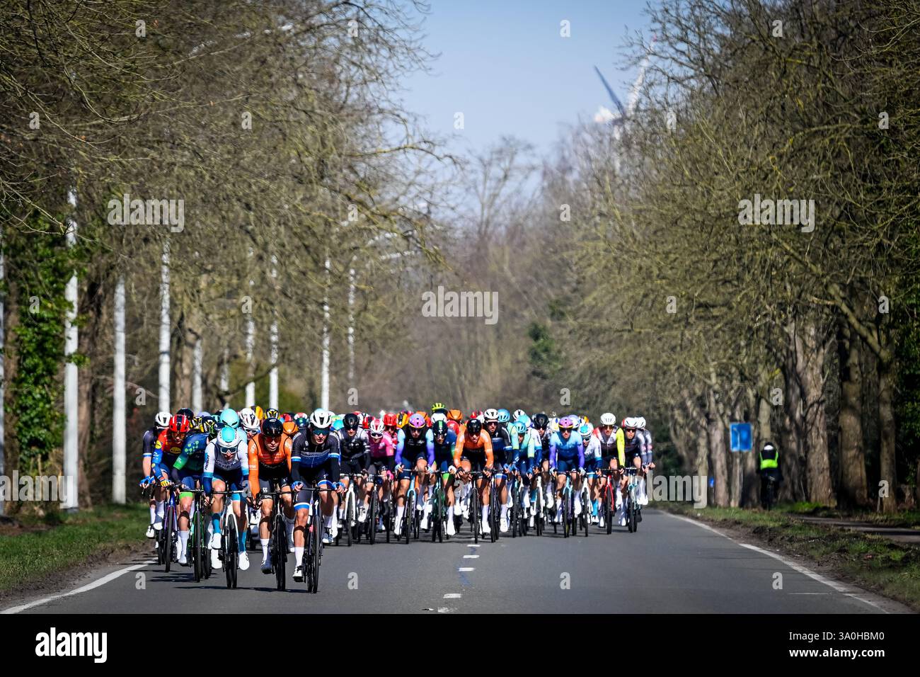 The pack of riders pictured in action during the 'Ename Samyn Classic ...