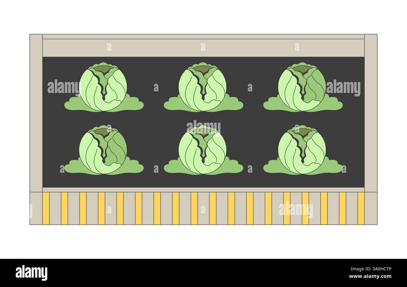 Raised garden bed with fresh cabbages growing in rich soil 2D cartoon ...