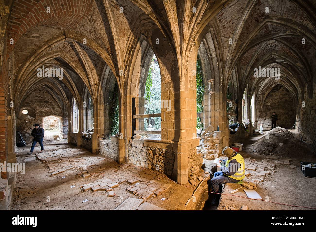 Revitalization and archaeological research in the Rosa Coeli Monastery ...
