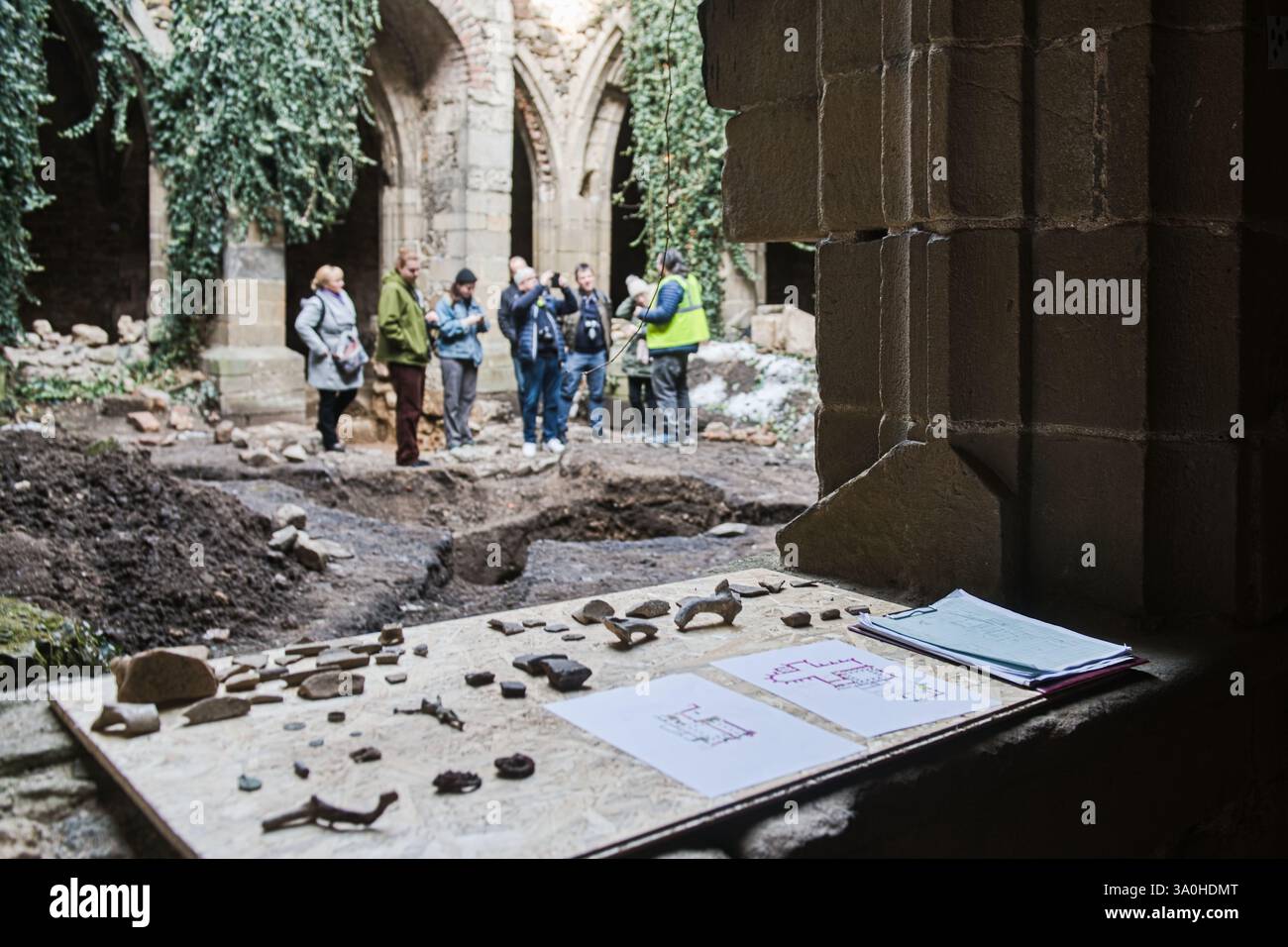 Revitalization and archaeological research in the Rosa Coeli Monastery ...