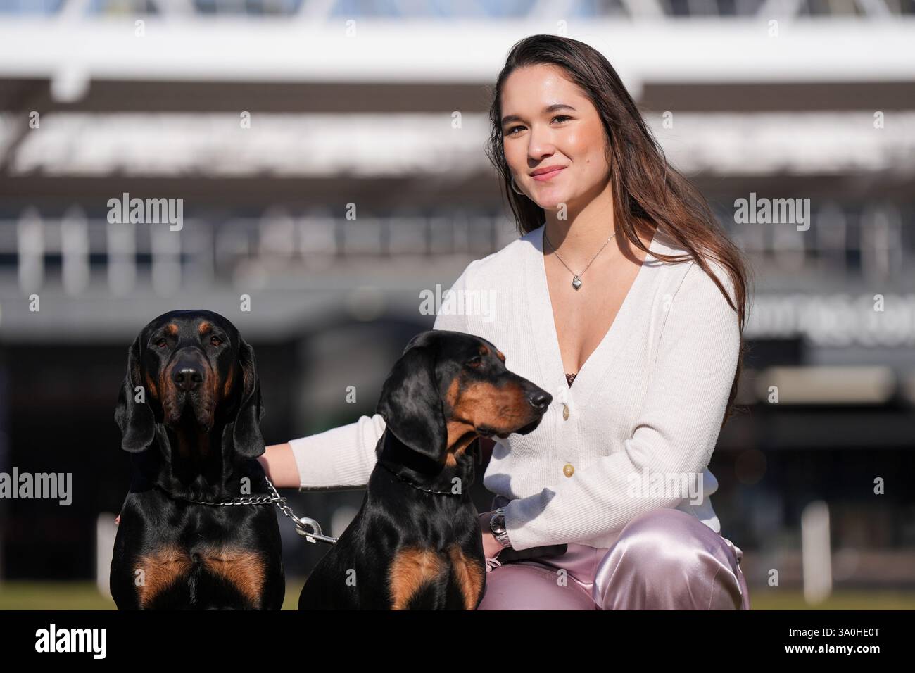 Polish Hunting Dogs, which will be appearing at Crufts for the first ...