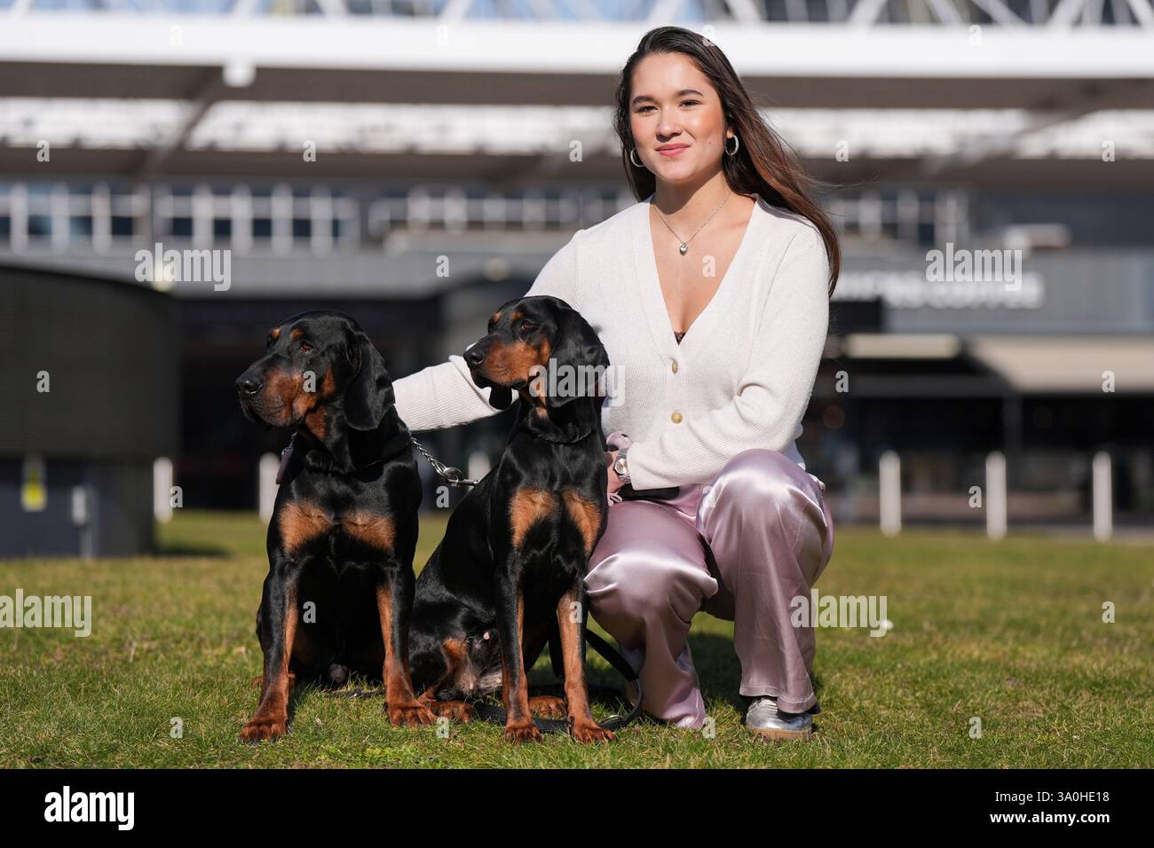 Polish Hunting Dogs, which will be appearing at Crufts for the first ...