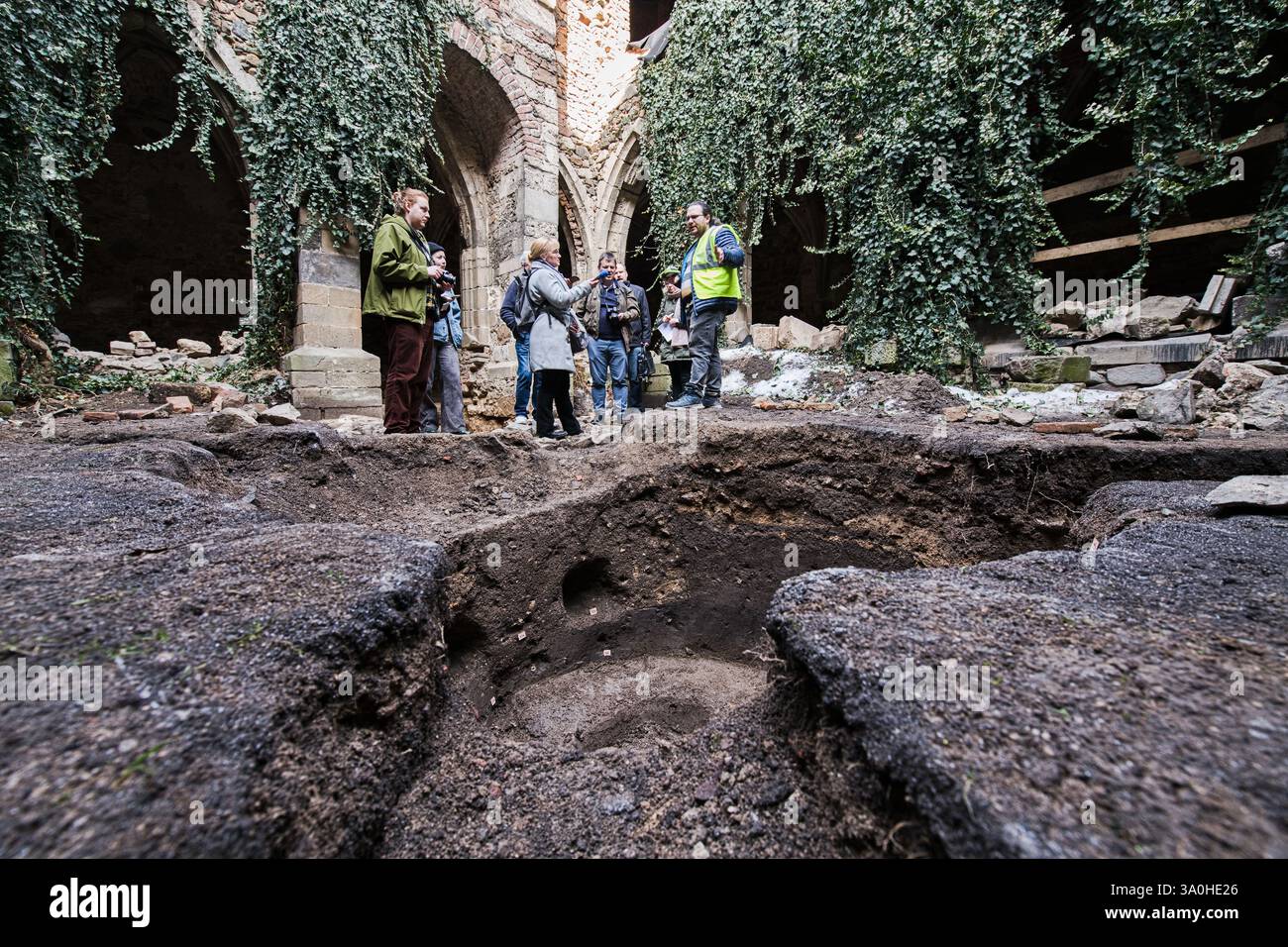 Revitalization and archaeological research in the Rosa Coeli Monastery ...