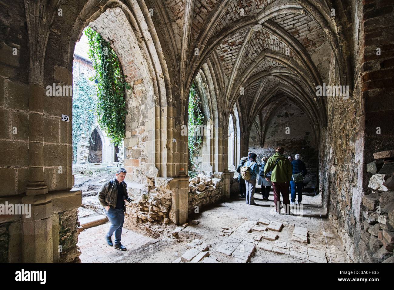 Revitalization and archaeological research in the Rosa Coeli Monastery ...
