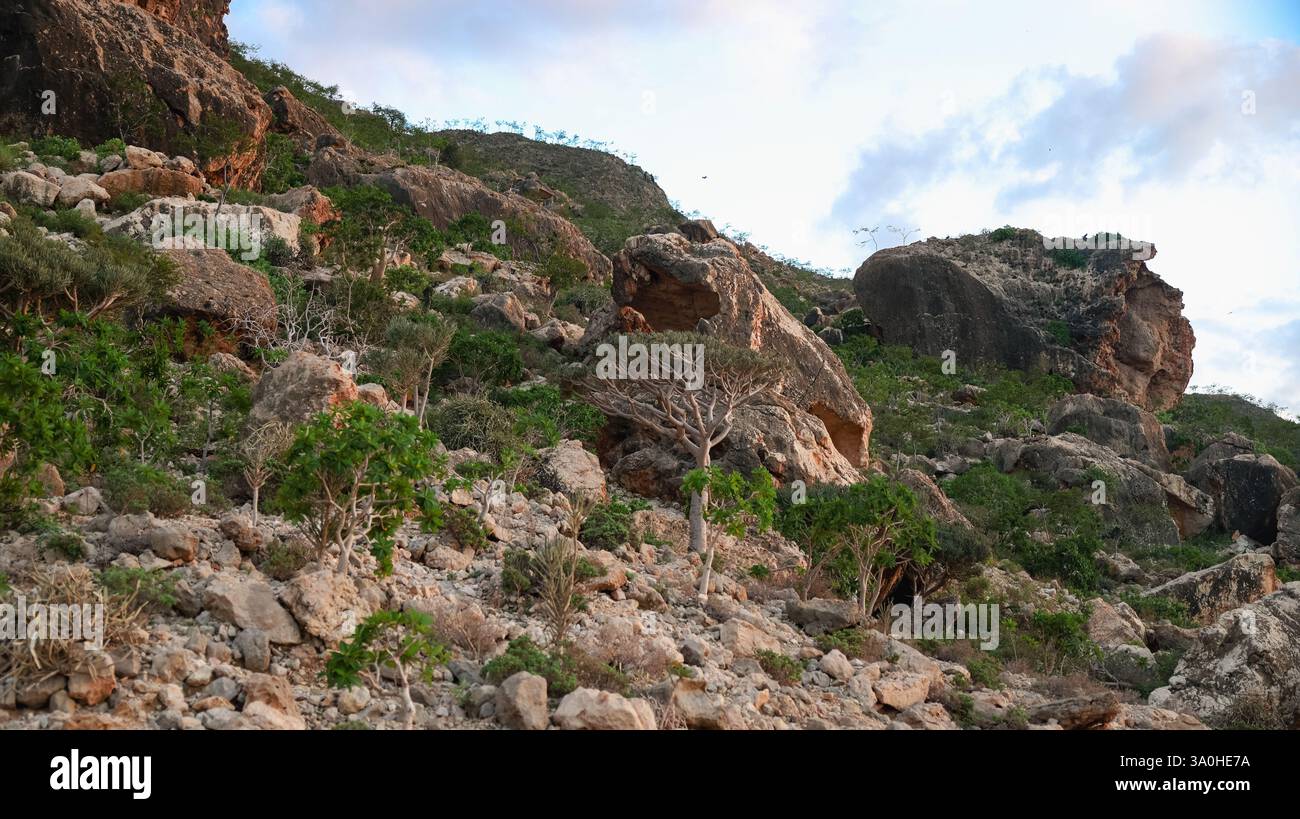 Breathtaking view of Socotra reveals striking rock formations amid ...