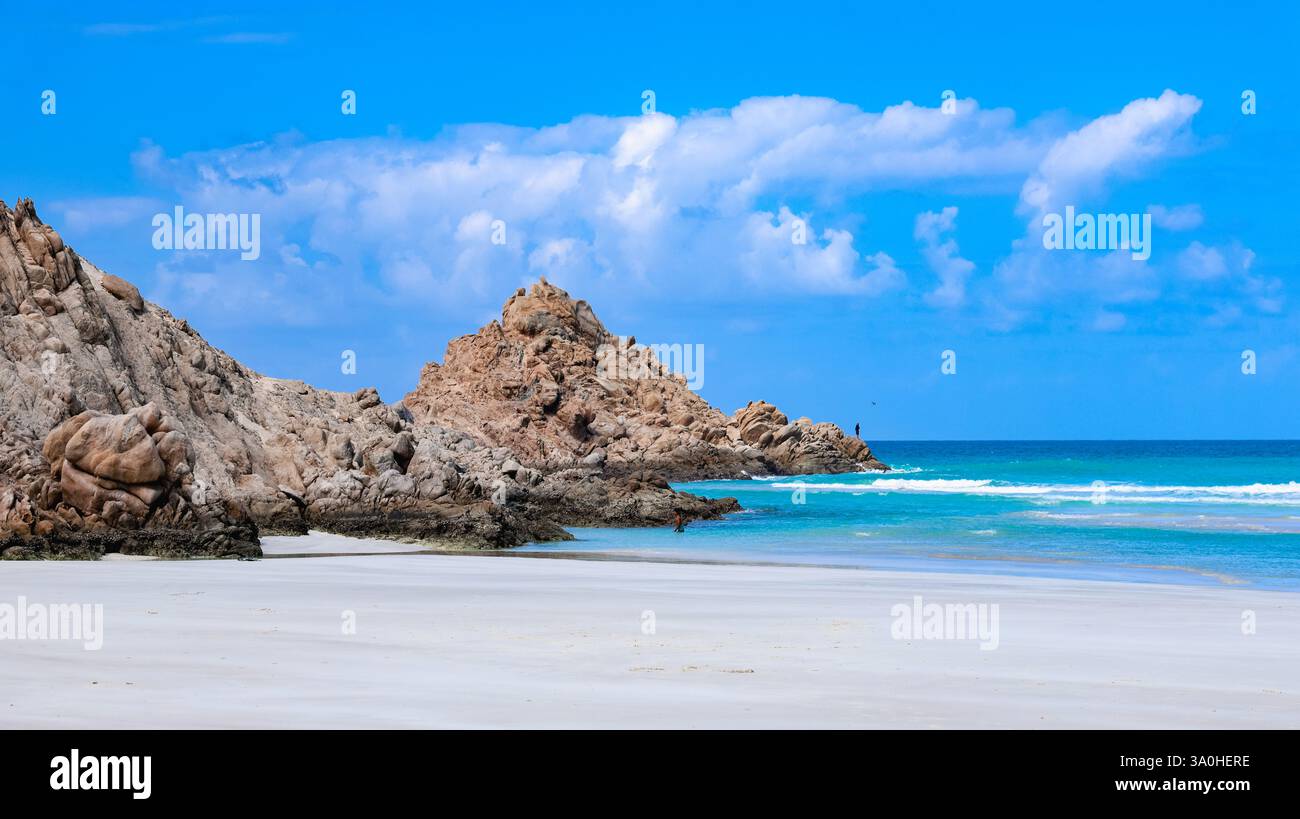 Explore the pristine beaches and unique rock formations of Socotra ...
