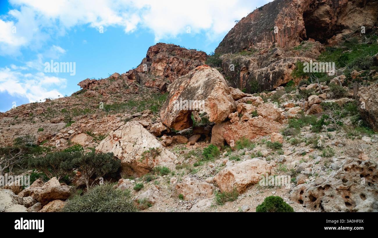 Explore the fascinating rock formations and lush plant life in the ...