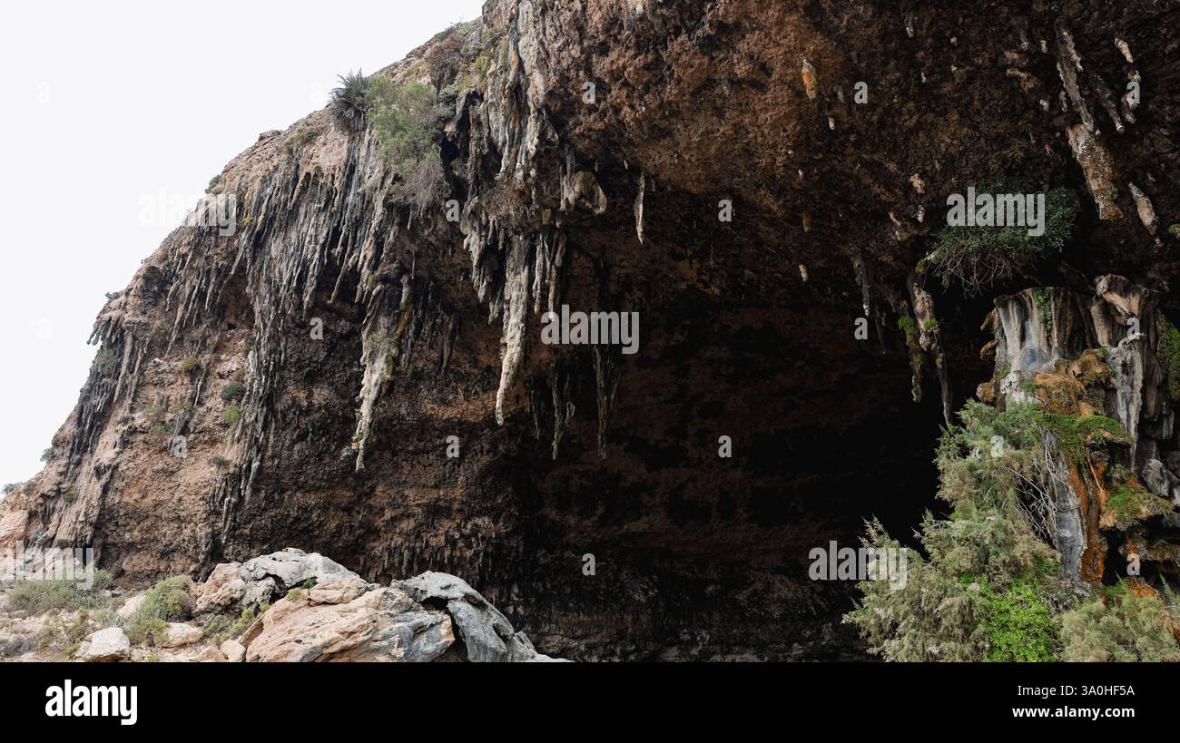 Explore the rugged beauty of Socotra, where distinctive rock formations ...
