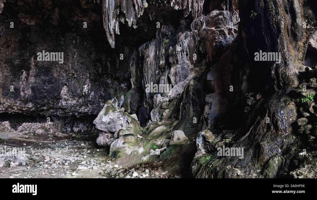 Visitors discover extraordinary limestone formations and unique geology ...