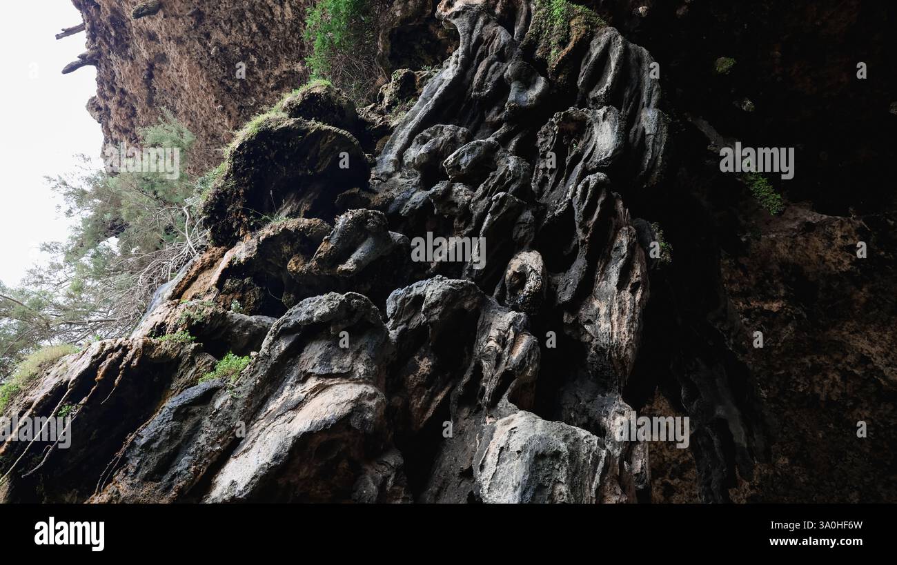 Discover Socotras stunning rock formations and unique plant life ...