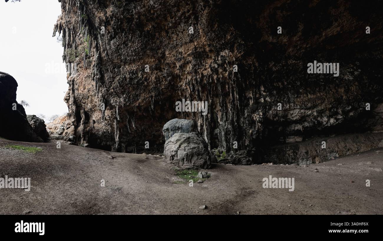 Witness the remarkable rock formations and unique flora on Socotra ...