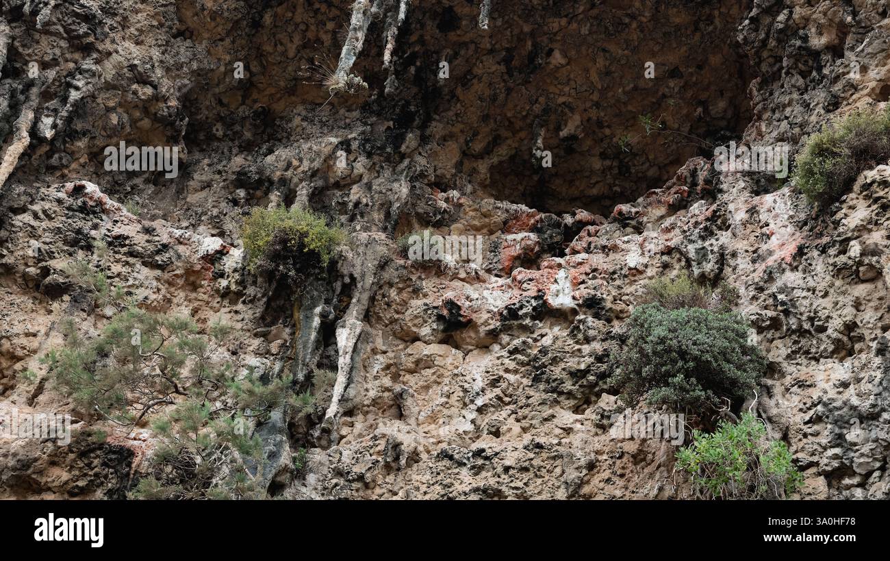 Explore the stunning rock formations and unique vegetation of Socotra ...