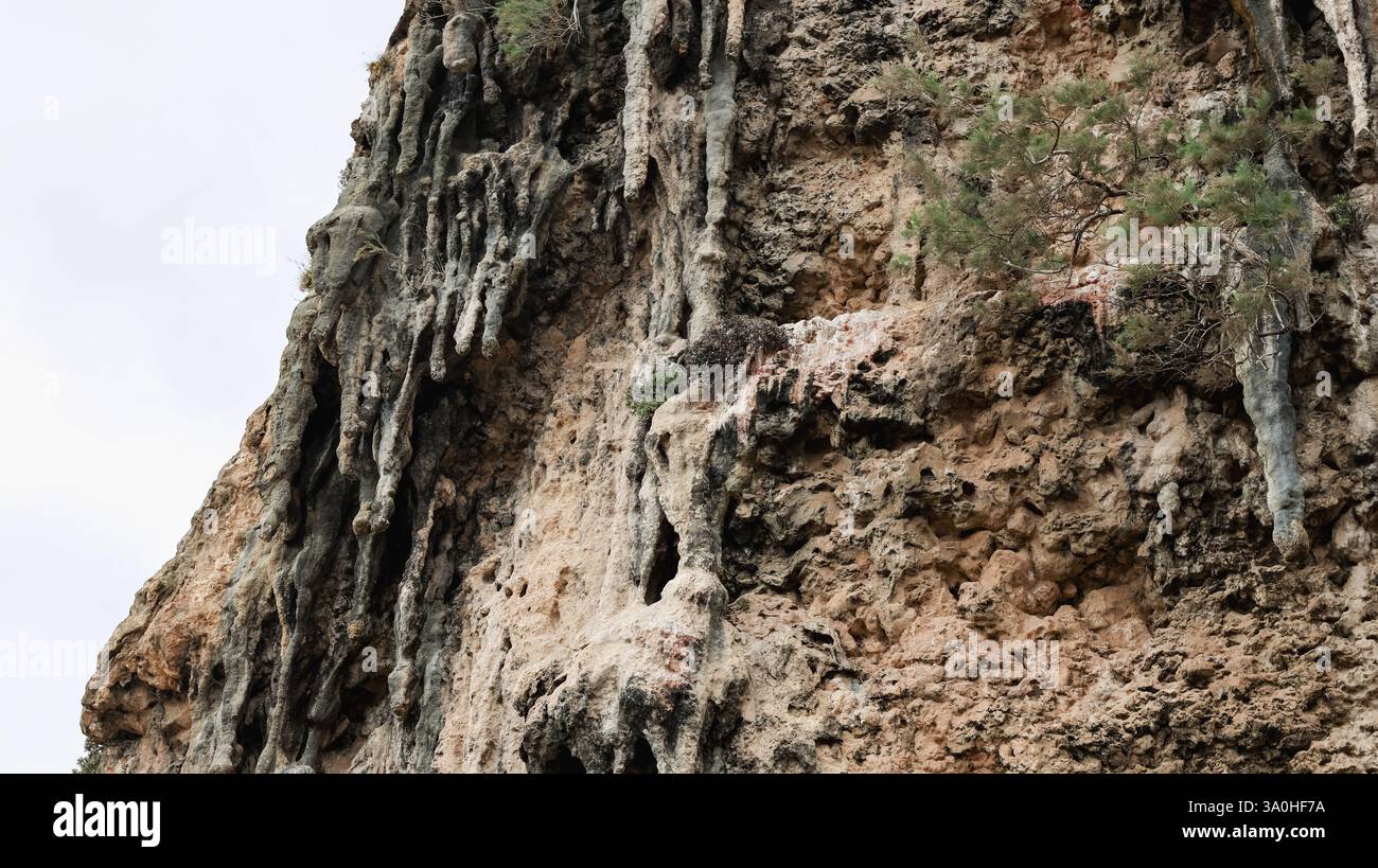 Ancient limestone cliffs reveal the unique geological patterns and ...