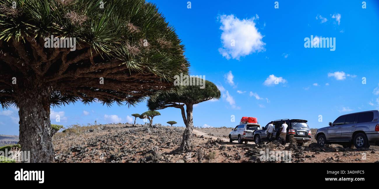 Travelers navigate the stunning landscape of Socotra Island, surrounded ...