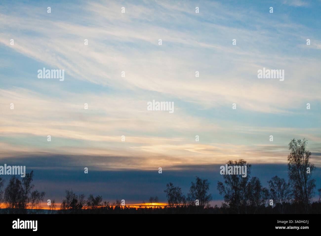 This image beautifully captures the subtle hues of a winter sunset. The ...