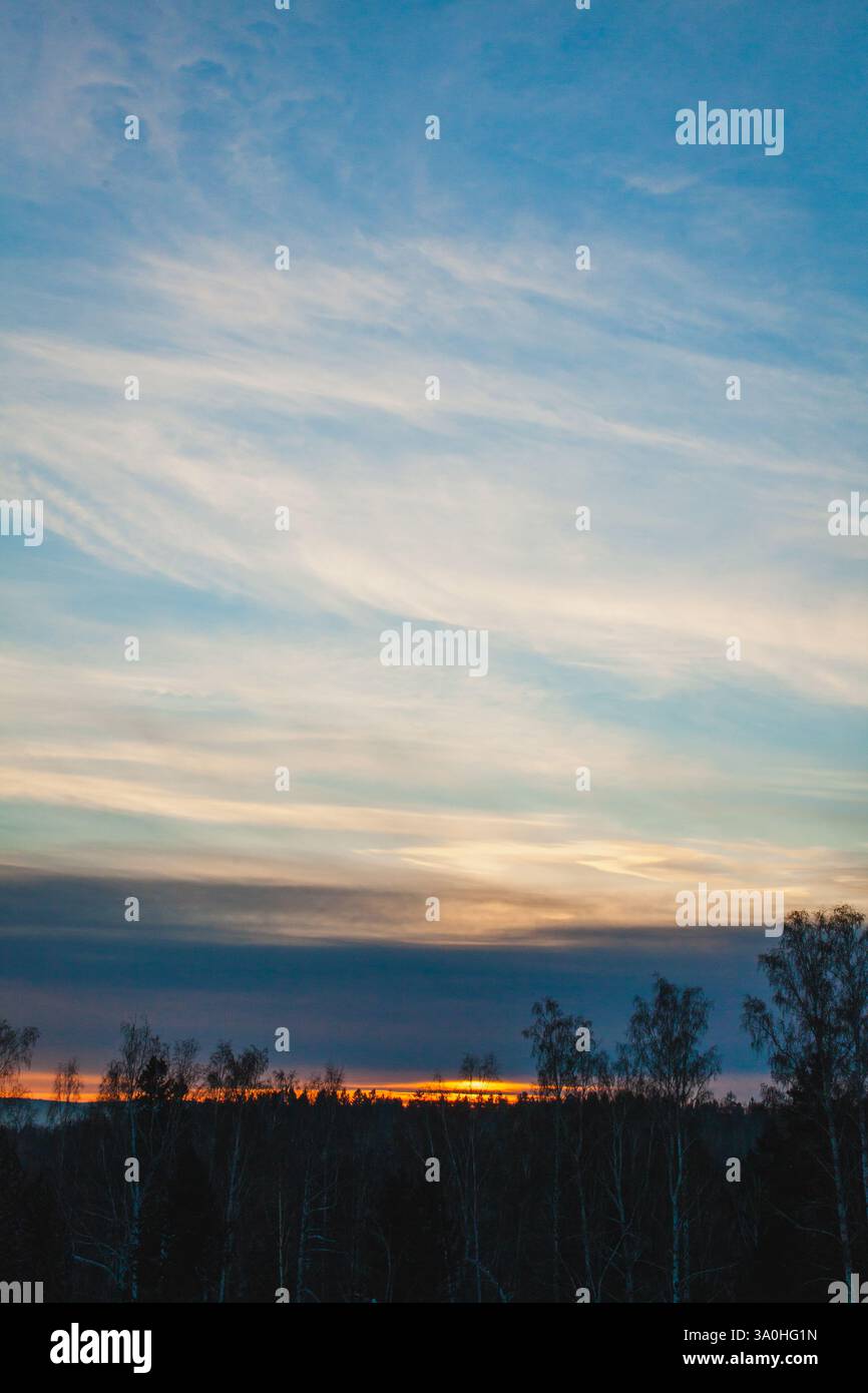 This image beautifully captures the subtle hues of a winter sunset. The ...