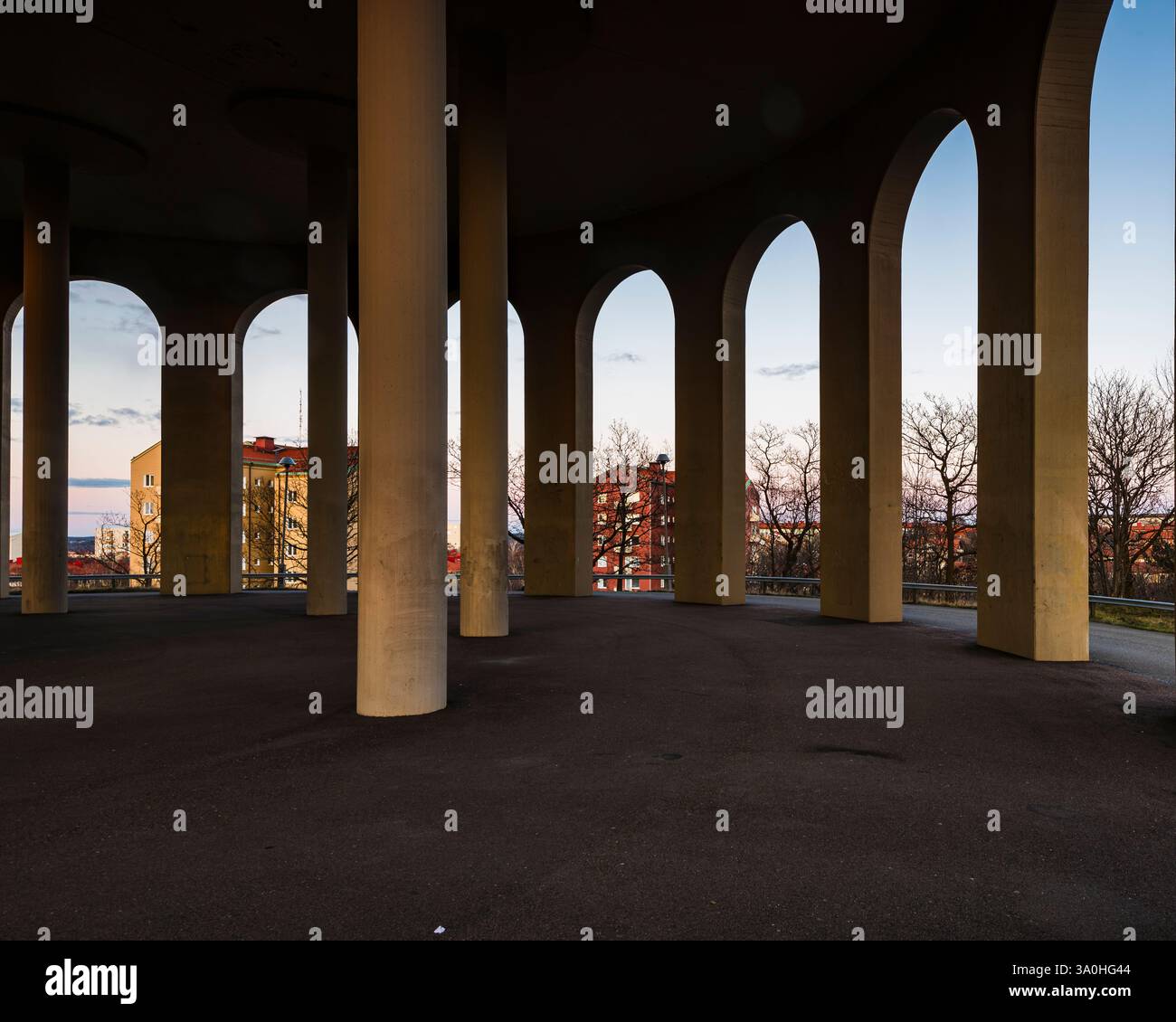 A captivating view captures an architectural space filled with tall ...