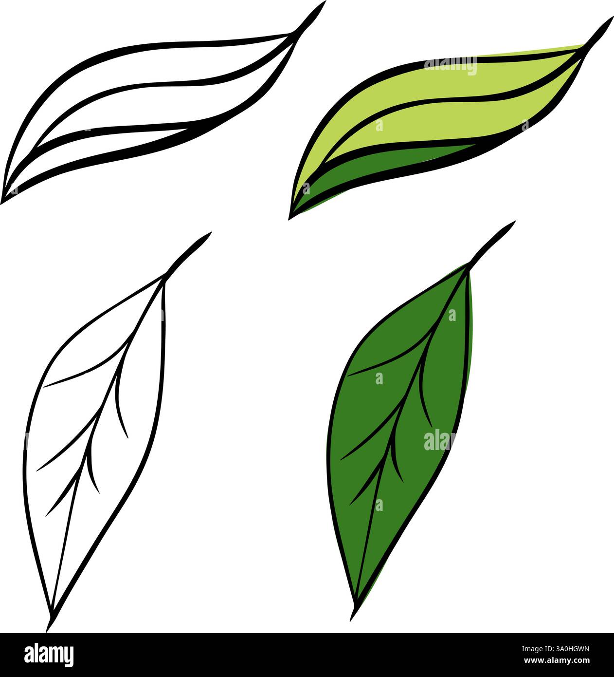 Leaf themed vector vectors Cut Out Stock Images & Pictures - Alamy